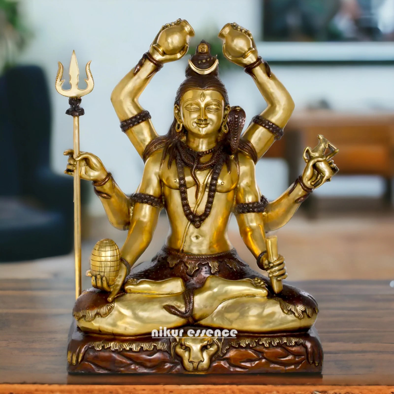 Brass Shiva Idols – Nikur Essence